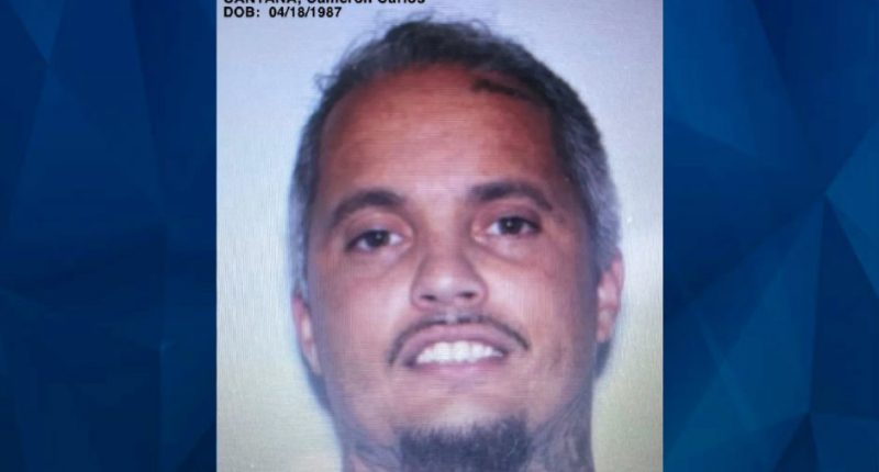 Arkansas Sex Offender Cuts Off Electronic Monitoring Device Internewscast