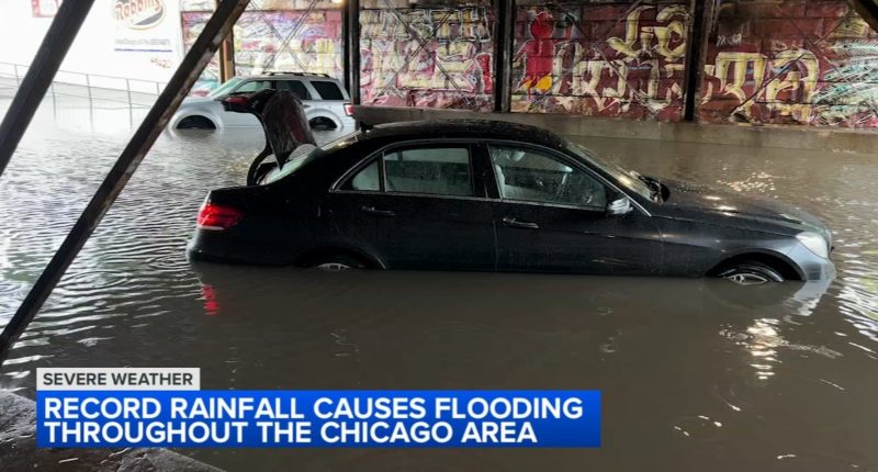Flash Flood Warning Chicago: Residents cleaning up after torrential ... Flash Flood Warning Chicago: Residents cleaning up after torrential ...