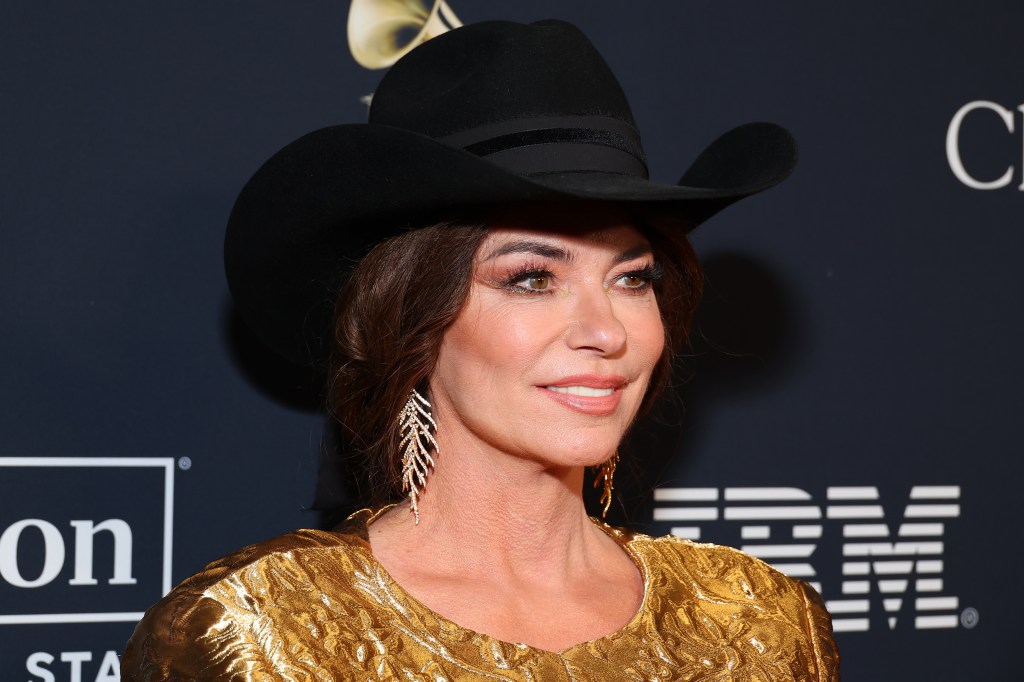 Shania Twain Shares Who Impresses Her Now: Brad Pitt for 2024 ... Shania Twain Shares Who Impresses Her Now: Brad Pitt for 2024 ...