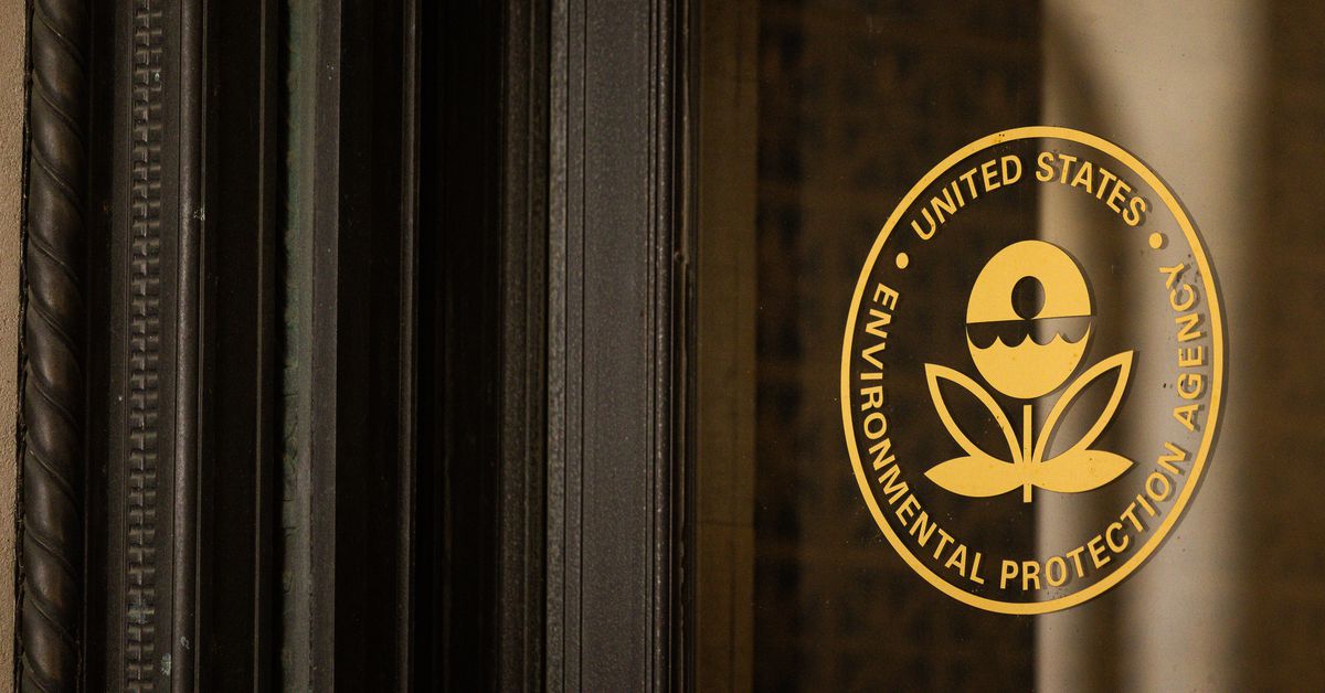 Climate group advocating for Gaza ceasefire at risk of losing federal ...