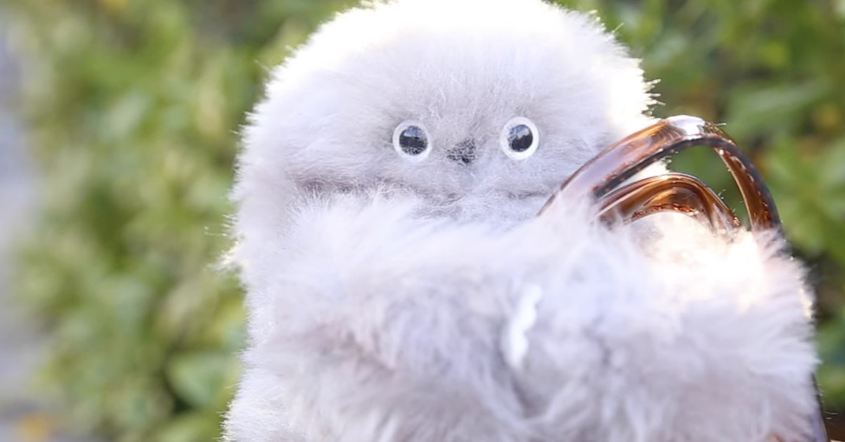 Unusual Technology Showcased at CES 2025 - Internewscast Journal