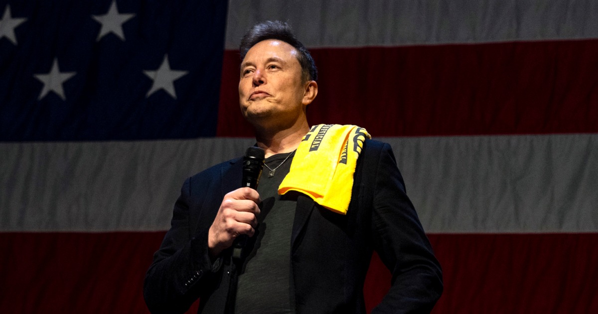 Elon Musk supports German nationalist party with live appearance on X ...