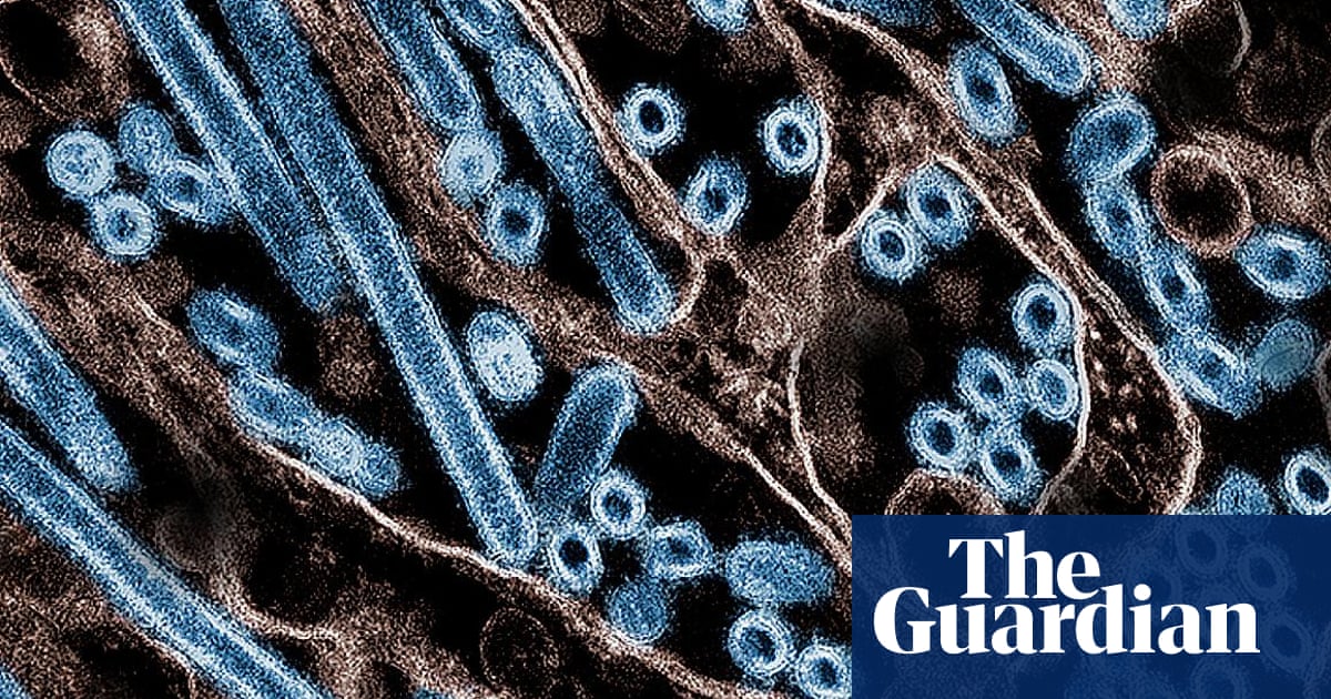 Louisiana records the first person in the US to die from bird flu ...