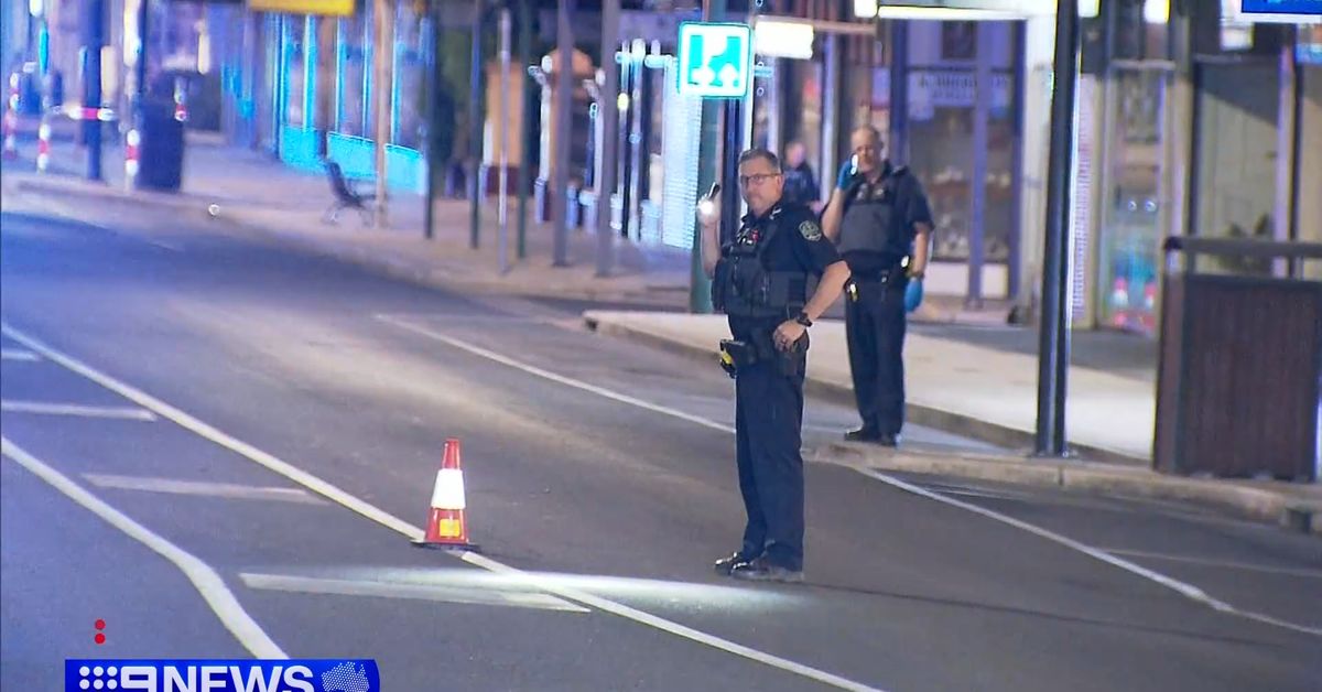 A man sustains severe injuries in a frightening machete assault in ...