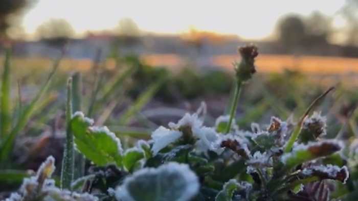 Meteorologist from News 6 talks about the sudden cold weather in ...