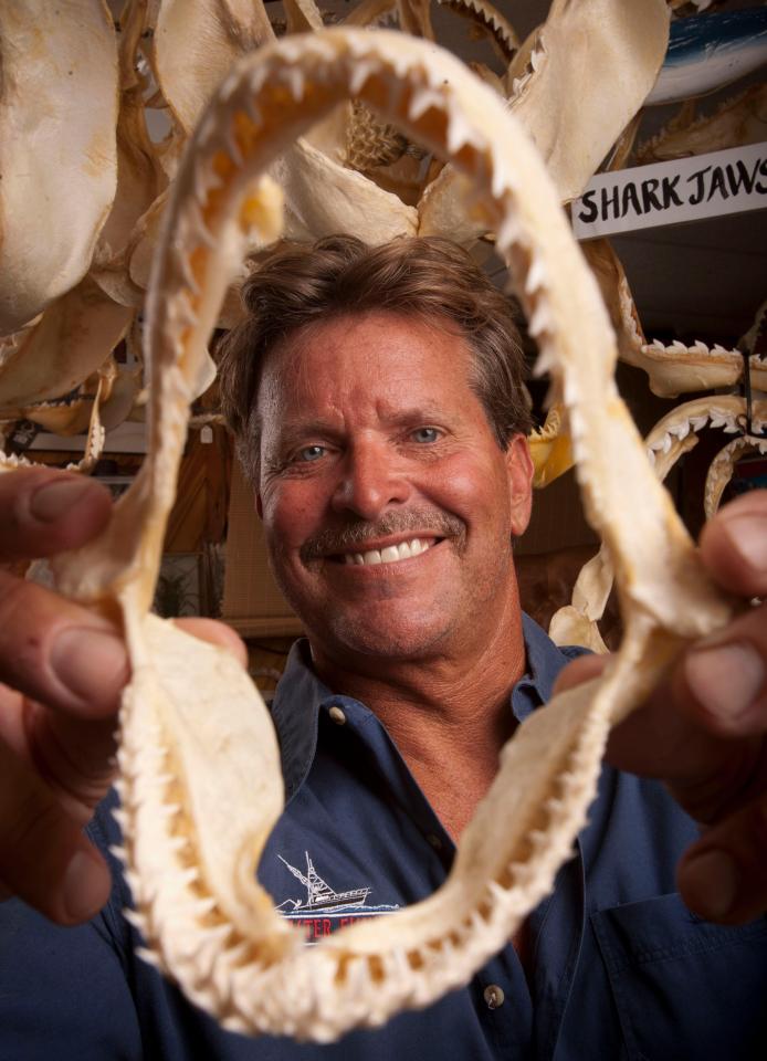 I’m an Actual Shark Hunter – I’ve Caught Giant Sharks and Witnessed ...