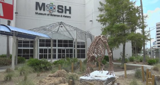 Jacksonville's MOSH to Shut Down in September for Relocation to New ...