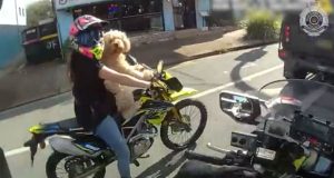 Biker Woman With Dog on Her Back Stopped by Surprised Police Officer ...