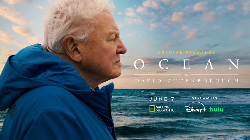 "David Attenborough's 'Ocean' Highlights His Important Message ...