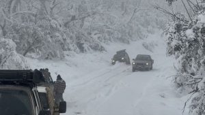 Over 20 People Rescued After Being Trapped in Deep Snow on Mount Hotham ...