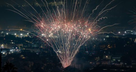 Increase in Canceled July 4th Celebrations in California Due to ...