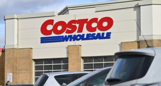 Woman Files $14M Lawsuit Claiming Injuries from Falling Costco Cabinet ...