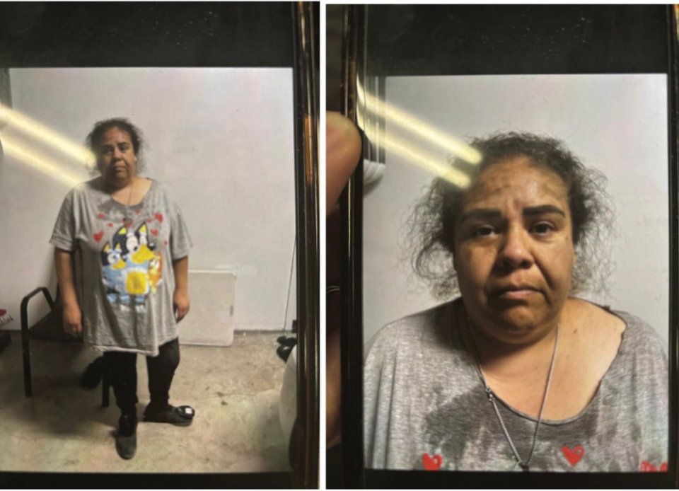 41-Year-Old Mom Allegedly Faked ICE Kidnapping to Raise Money for ...