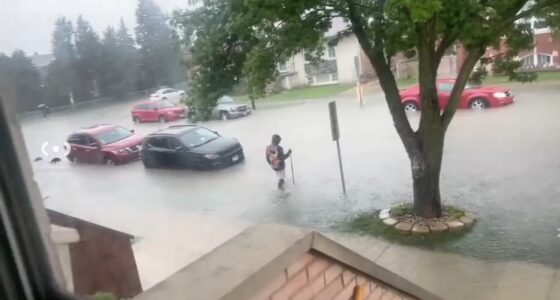 Chicago's Intense Weather: Residents Urged to Report Flash Flooding ...
