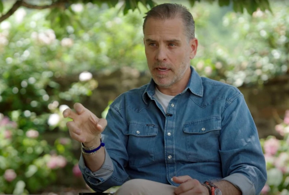 Wild Revelations: Hunter Biden's Three-Hour Interview Highlights, From ...