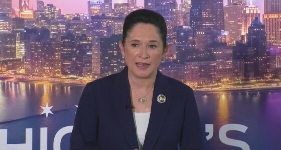 Illinois Comptroller Susana Mendoza Announces She Won't Seek Another ...