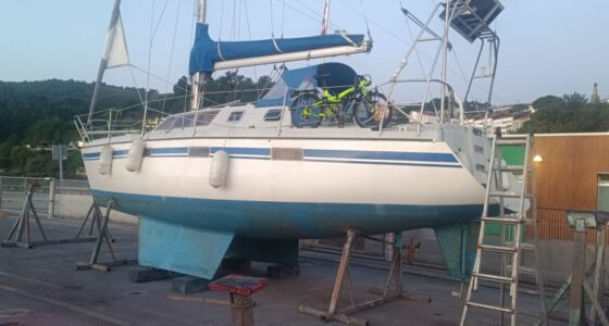 Killer Whales Attack Again Off Spain: 'White Gladis' Pod Damages Yacht ...