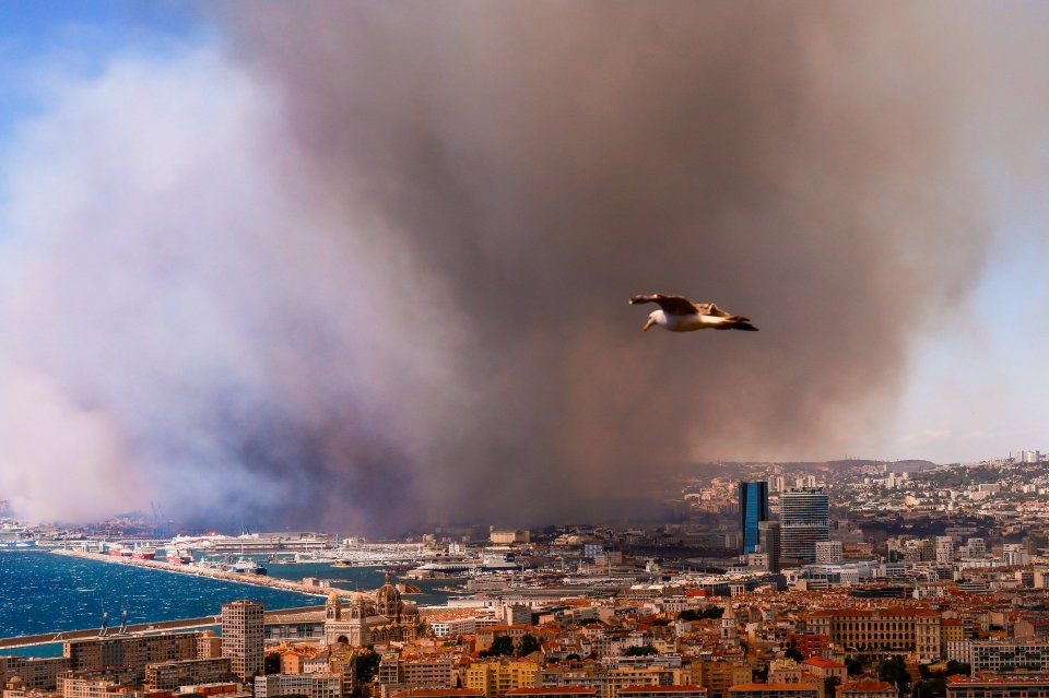 Marseille on High Alert: Wildfires Close Airport Again and Over 100 ...