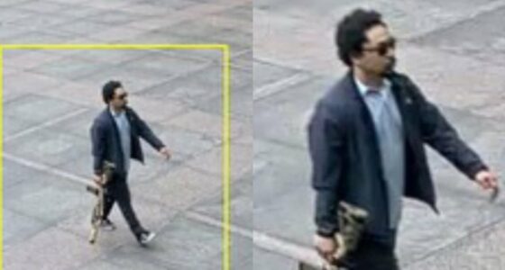 Sources Report Death of Suspected NYC Shooter - Internewscast Journal