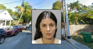 Woman Uses Bear Mace on Driver After Chicken Incident: Police Report ...