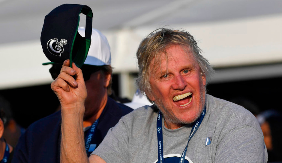 'Deliberate Misconduct': Gary Busey Admits Guilt in Sex Crime Tied to ...