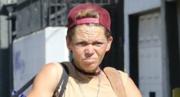 Former Baywatch actress Loni Willison, 42, spotted living homeless in ...