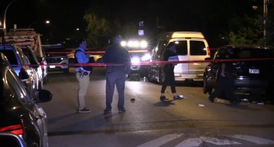 Fatal Shootings in East Garfield Park: Tia Bell, Deandre Russell, and ...