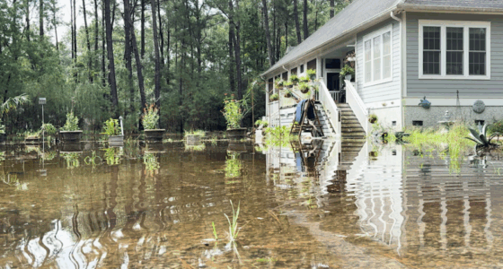 Lady’s Island Couple Seeks Solutions to Ongoing Flooding Issues ...