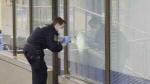 83-Year-Old Man Fatally Injured in Alleged Unprovoked Stabbing Attack ...