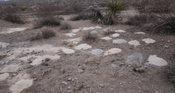 Mystery Surrounds Discovery of 70 Ash Piles in Desert - Internewscast ...