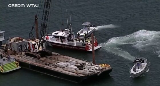 Third Young Sailor Dies Following Boat Accident at Miami Camp ...