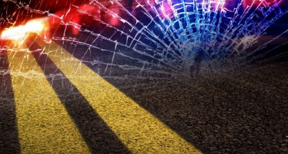 Two Injured in Head-On Crash Close to Champaign - Internewscast Journal