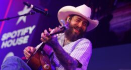 Stalker of Post Malone Arrested for Ignoring Court Protection Order ...