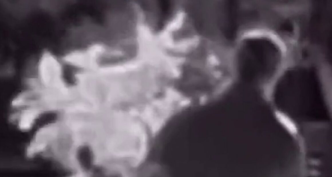 Michael Polansky Parents Ethnicity Age And Wife - Internewscast Journal