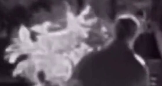 Michael Polansky Parents Ethnicity Age And Wife - Internewscast Journal