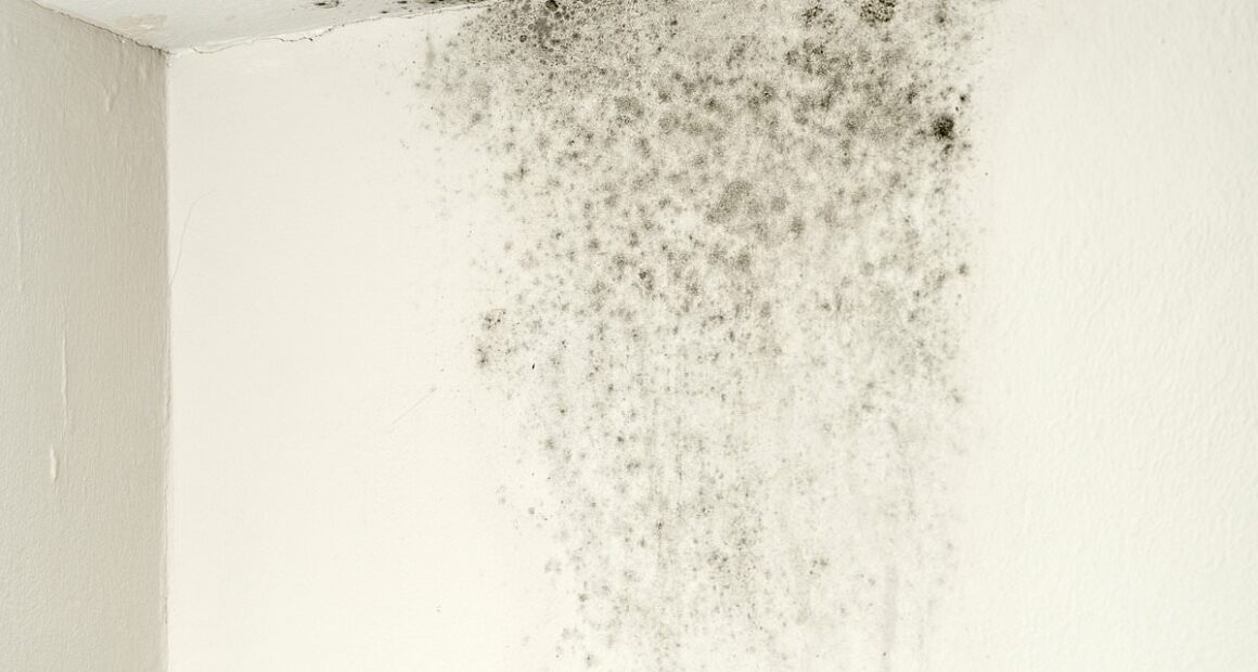 S Iswaran Family Tree: Wife Kay Mary Taylor Sons And Daughter ...