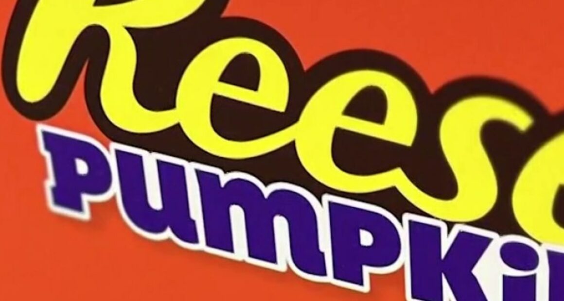 Emily Saves America Allegation: Shockwaves as Scandalous Allegation ...