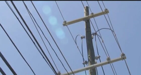 Connor Creates (Instagram Star) Wiki, Biography, Age, Girlfriends ...