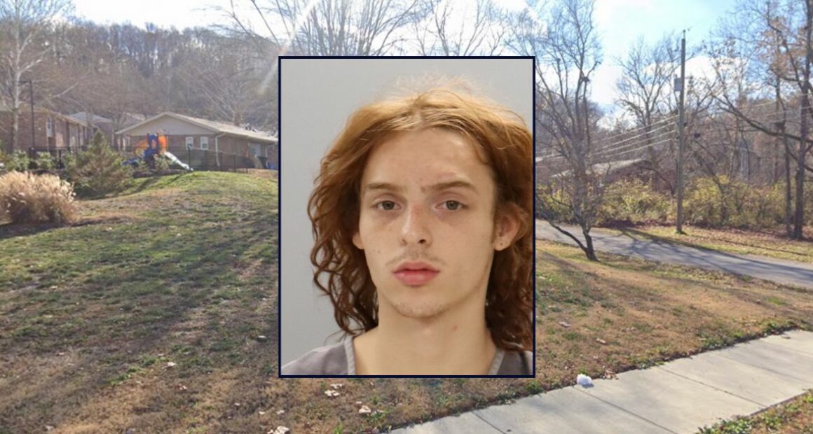 Tenma Maemi Nationality: Is She Russian Or Japanese? Real Name ...