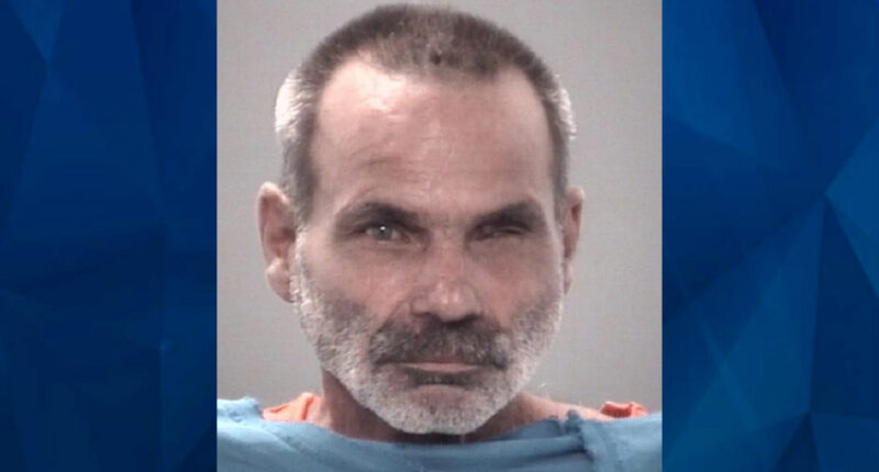 Florida Man Decapitates, Cooks, and Eats Neighbor's Peacocks Out of ...