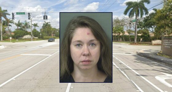 Florida Woman Involved in School Bus Collision - Internewscast Journal