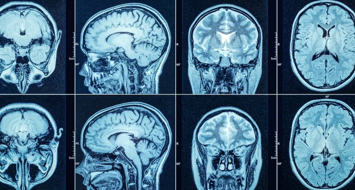 Is Stella Luchetta Still Alive? Ellen Corby Partner’s Wikipedia Bio And ...