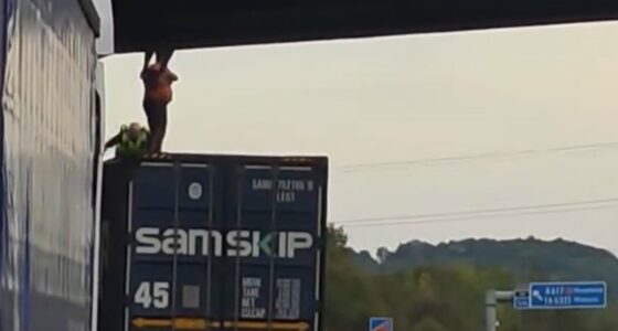 Brave Truck Driver Shares Experience of Rescuing Man on a Highway ...