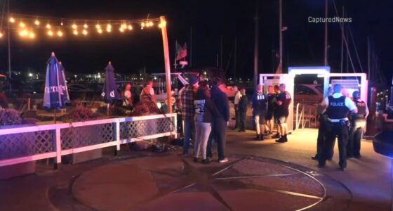 Investigation Launched into Lake Michigan Drowning Death of Plainfield ...
