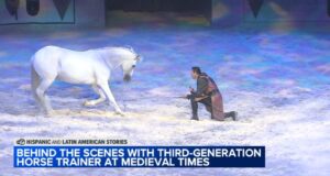 Medieval Times Horse Trainer Mario Contreras Celebrates Guadalajara ...