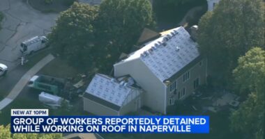 Expert Describes Kelly Dever's Testimony as a 'Disaster' After She ...