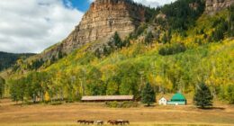 The search for hunters who disappeared in the Colorado wilderness is ...