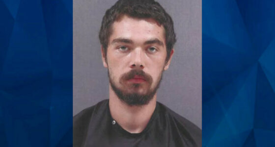 Stormigee No Makeup 2024: Before After Plastic Surgery - Internewscast ...