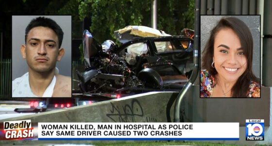 Sarcastic Drunk Driver Involved in Fatal Hit-and-Run, Police Report ...