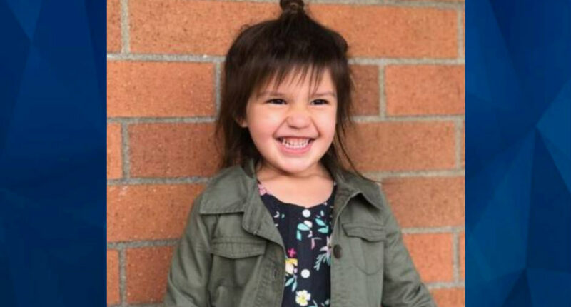 Heartbreak as Missing 4-Year-Old Oakley Carlson from Washington is ...